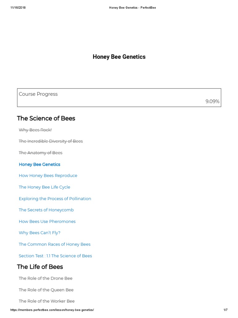 4-Honey Bee Genetics - PerfectBee | PDF | Honey Bee | Beekeeping