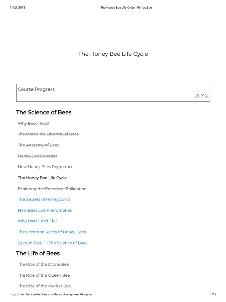 6-The Honey Bee Life Cycle - PerfectBee | PDF | Honey Bee | Beekeeping
