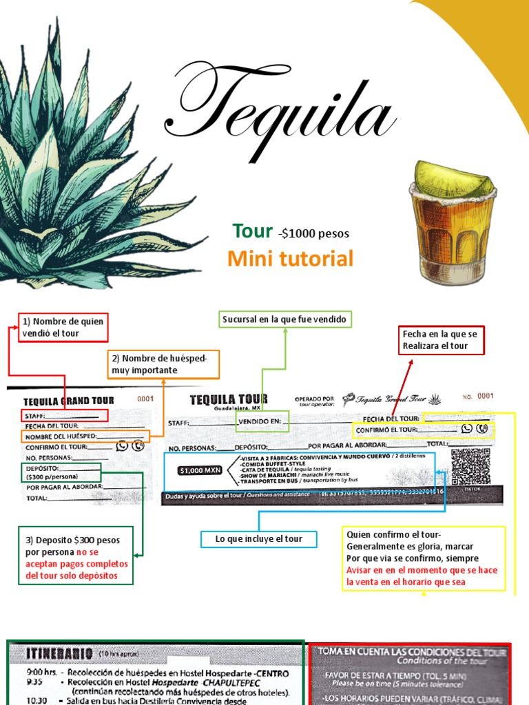 Info Tour Tequila 1000pesos | PDF