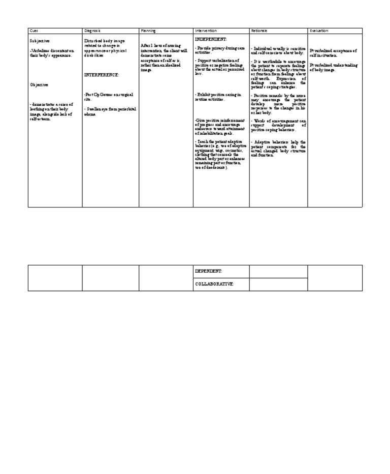 NCP Disturbed Body Image | PDF | Body Image | Self Esteem