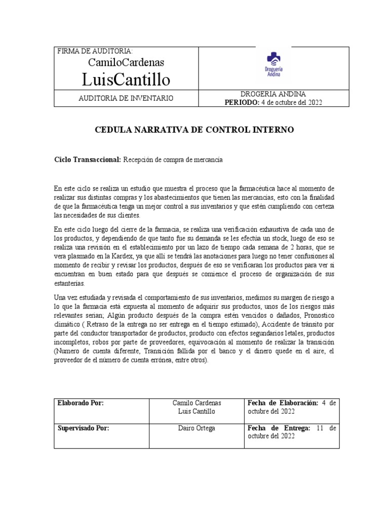 Narrativa de Auditoria Control Interno | PDF