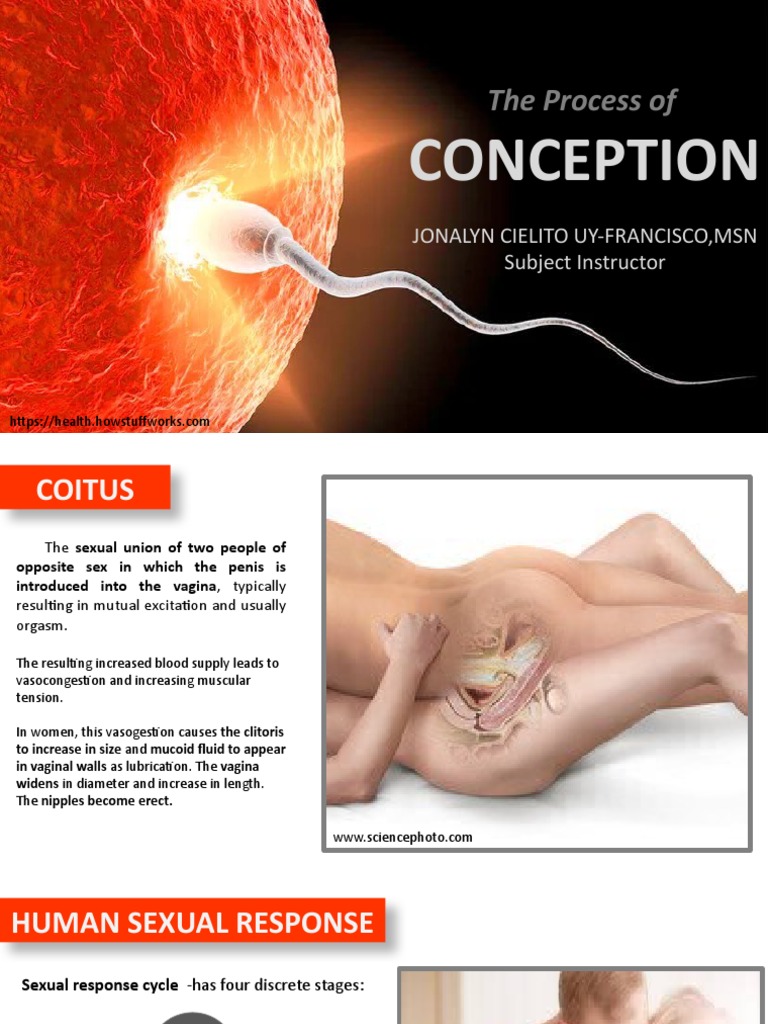 Sexual Response Cycle Pdf Orgasm Vagina