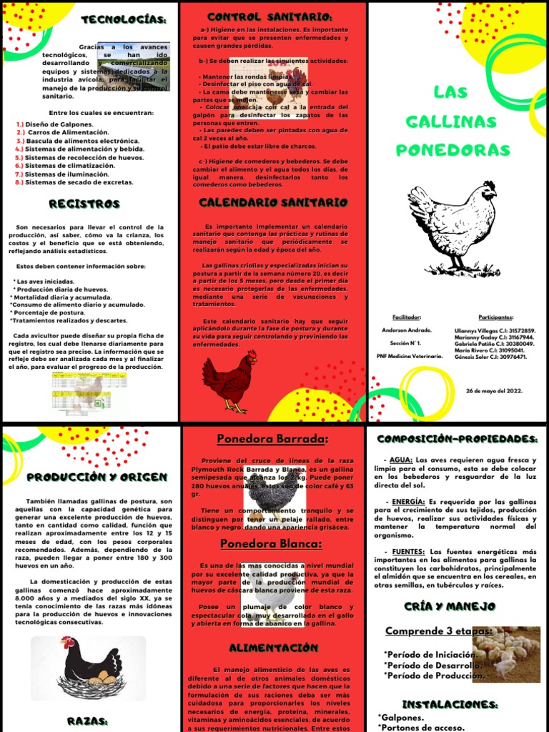 Tríptico de Las Gallinas Ponedoras | PDF | Huevo como alimento | Pollo