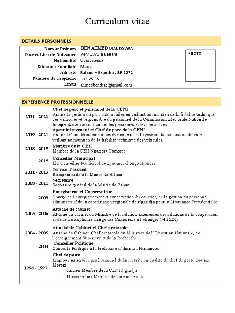 Curriculum Vitae EXEMPLE | PDF