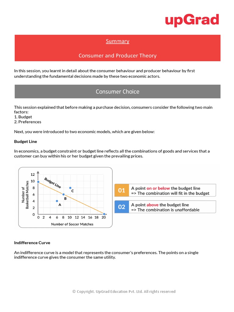 Consummer and Producer Theory | PDF | Utility | Business Economics