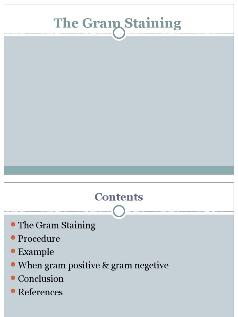 A Comprehensive Guide to the Gram Staining Procedure and its Importance ...