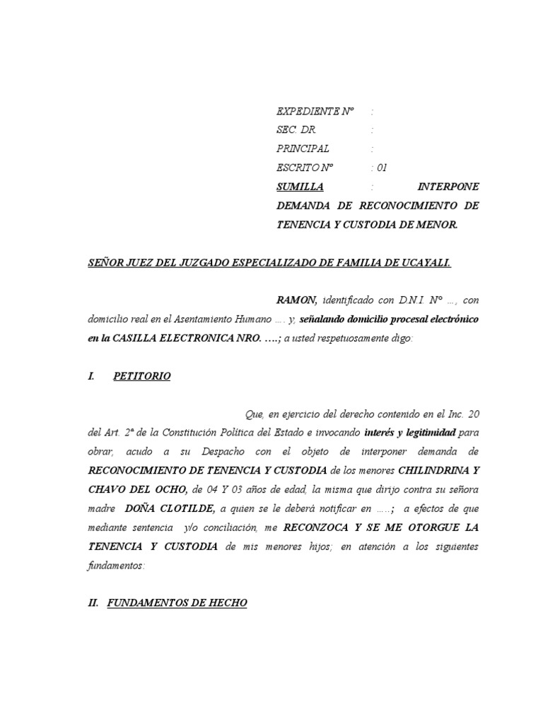 Demanda de Custodia de Chilindrina | PDF | Demanda judicial | Gobierno