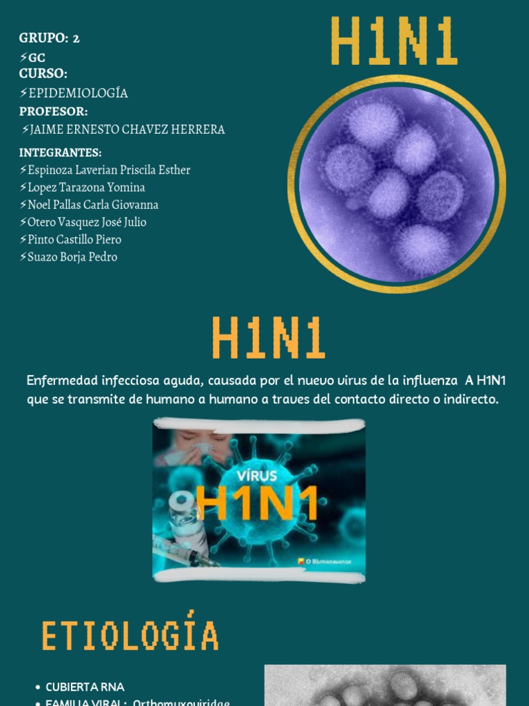 H1N1 | PDF | Virus de la Influenza A Subtipo H1 N1 | Influenza