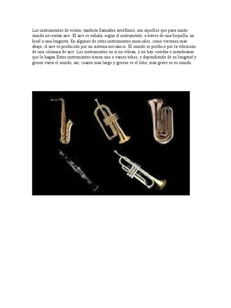 Clasificación de instrumentos de viento | PDF | Ciencias sociales | Arte
