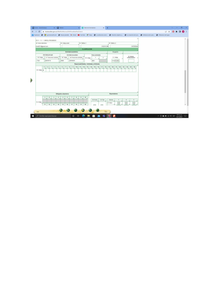 Documentos Lisbeth | PDF