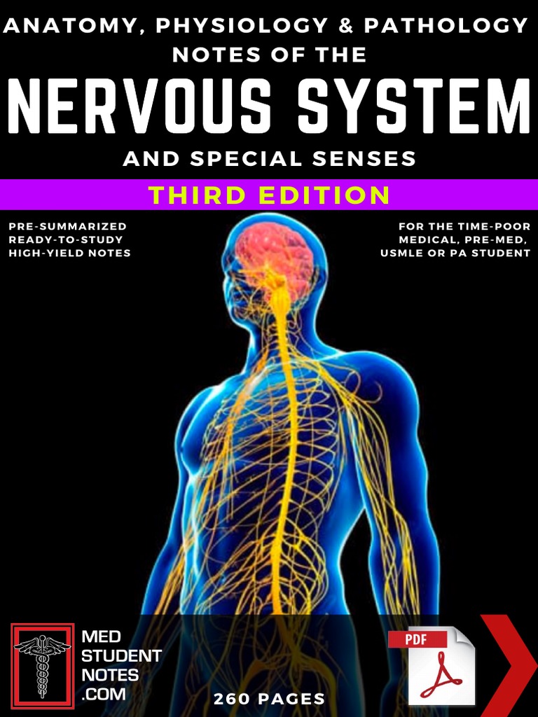 Nervous System Notes - 3rd Ed | PDF | Download | Computing