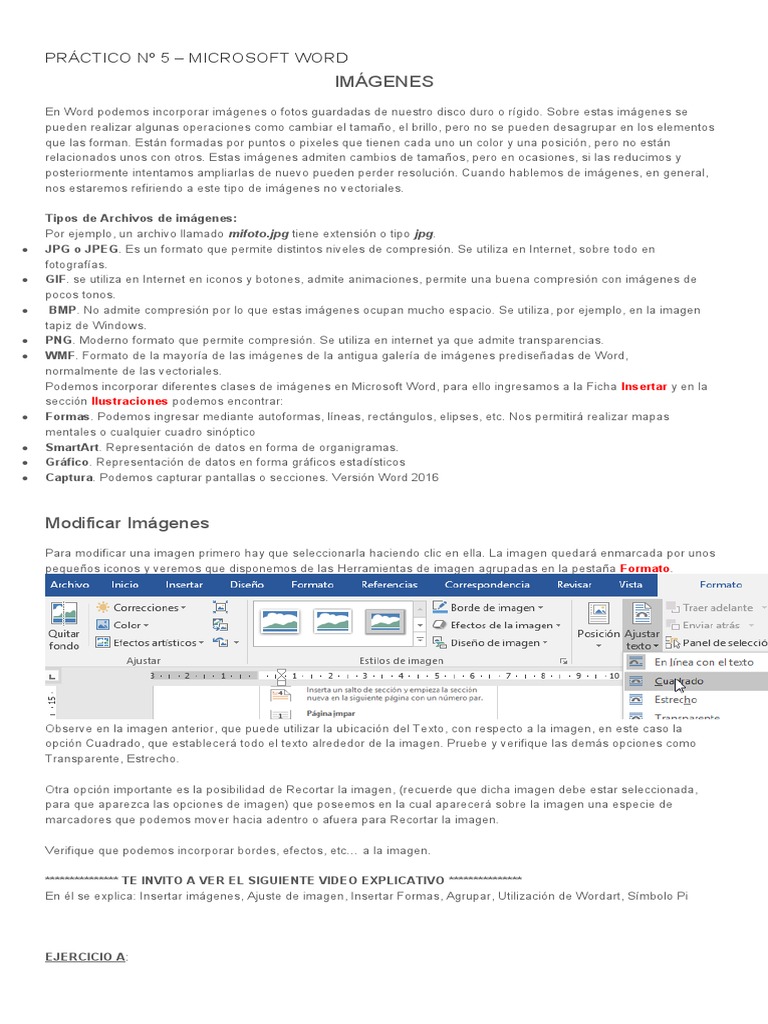 Práctico #5 Word Modular | PDF | Ventana (informática) | Microsoft Word