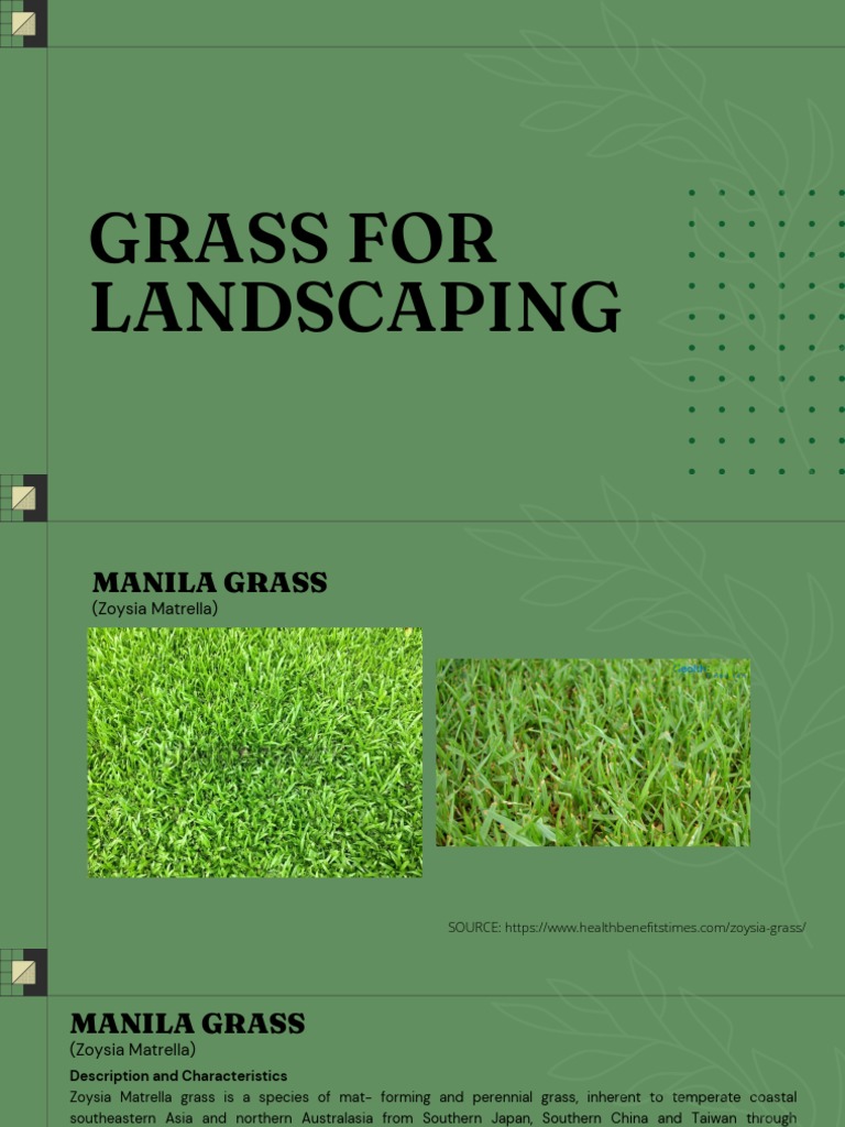 Grass | PDF | Lawn | Organisms