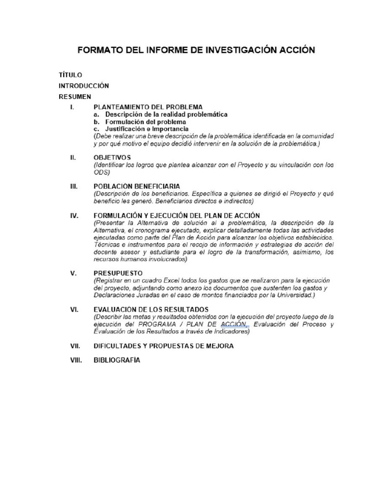 Esquema de Informe de Iap | PDF
