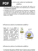 Transformaciones Rígidas y No Rigidas | PDF | Geometría | Rotación