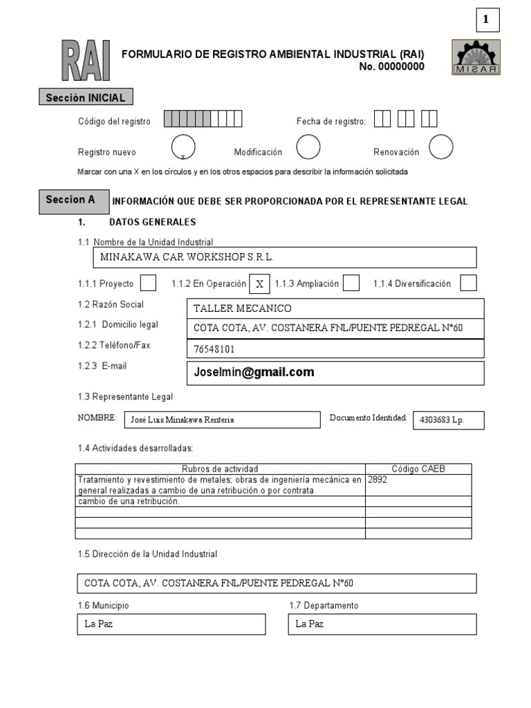 Formulario Rai | PDF