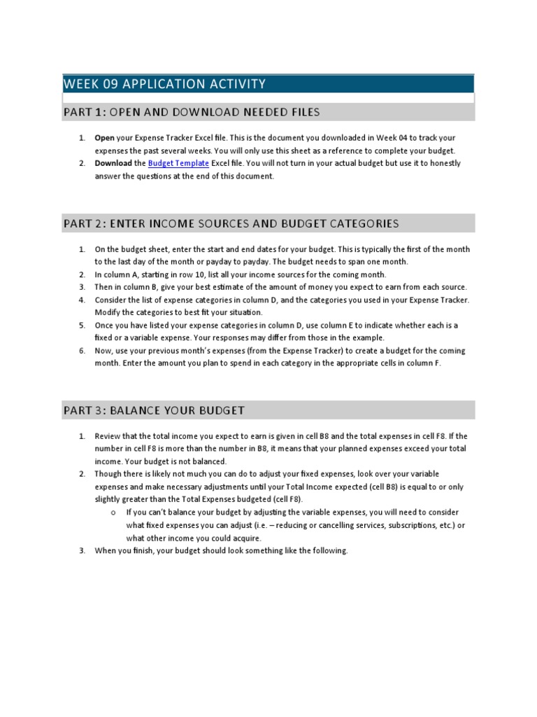 W09 Application Activity Template | PDF | Budget | Expense