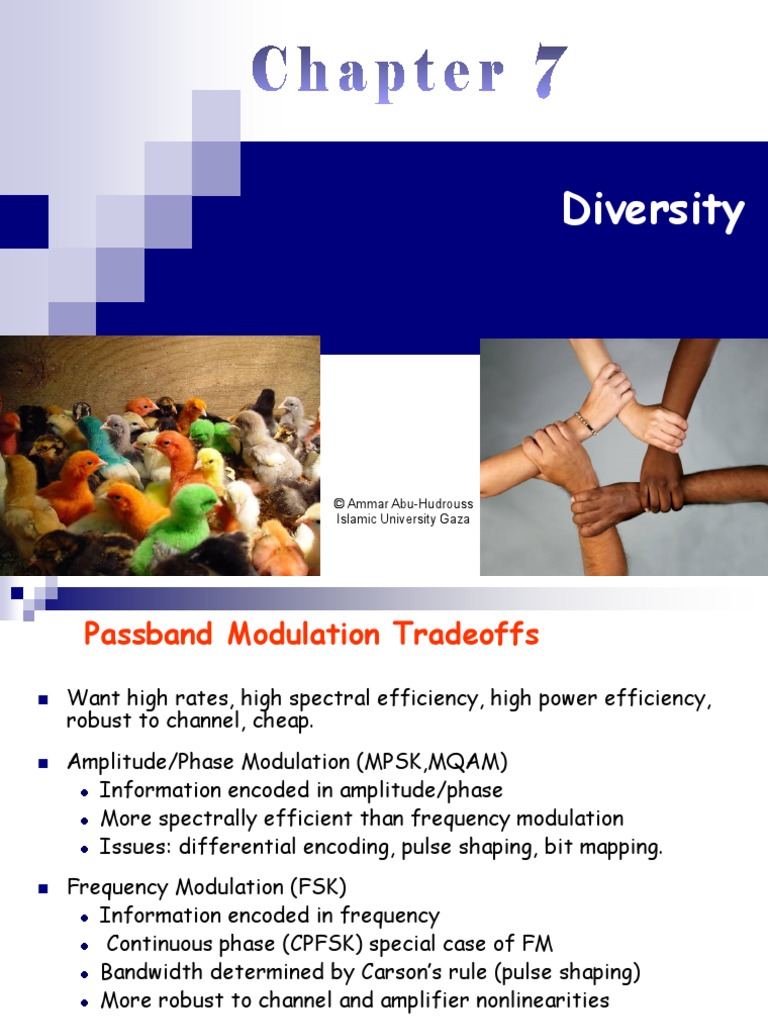 03 Diversity | PDF