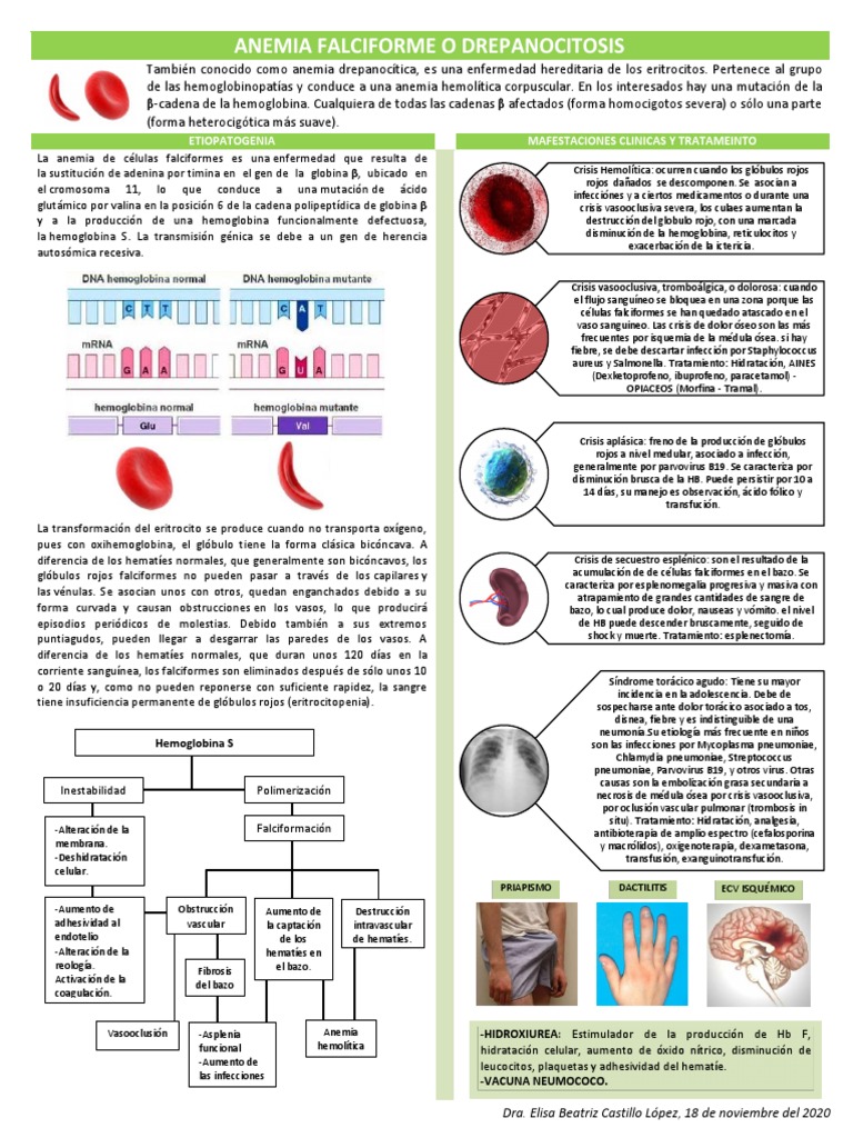 2 Falcemia | PDF | Anatomia animal | Histología