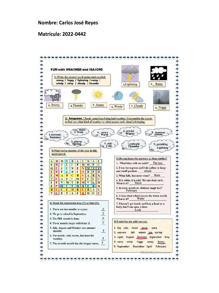 Weather Exercises | PDF
