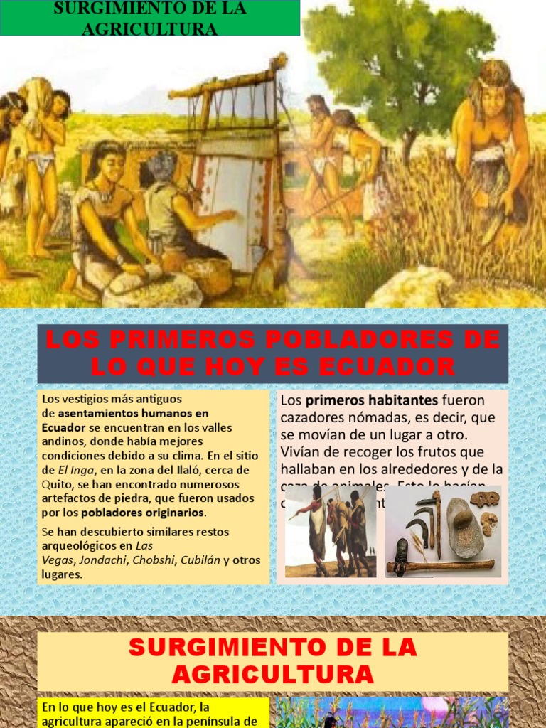 Surgimiento de La Agricultura | PDF | Agricultura | Ecuador