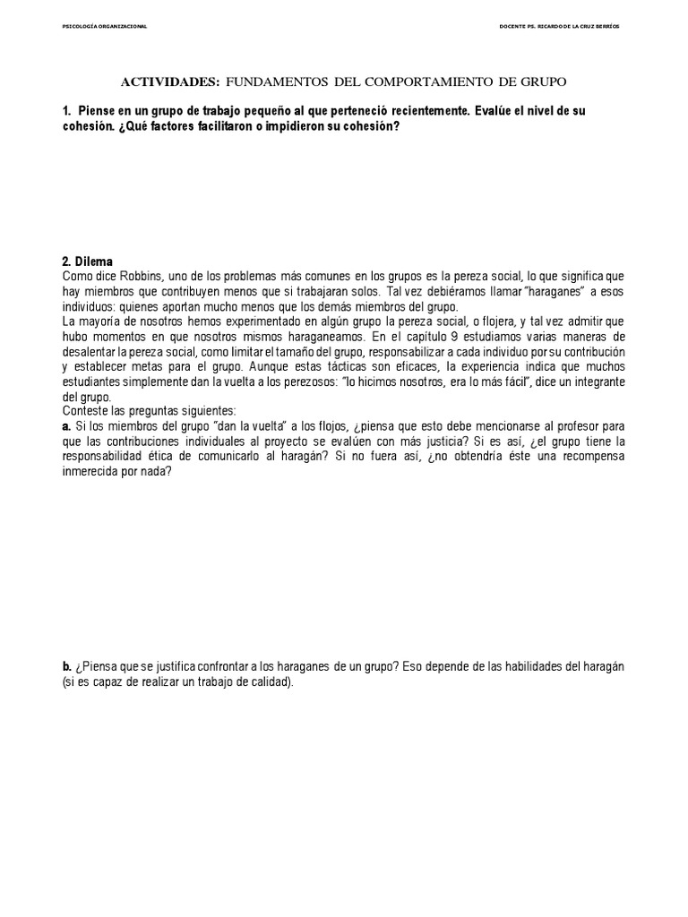 Comportamiento de Grupo | PDF | Comportamiento