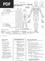 ASIA Impairment Scale for Spinal Injury | PDF | Anatomical Terms Of ...