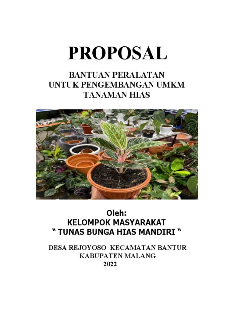 Proposal Umkm Tanaman Hias Bunga | PDF