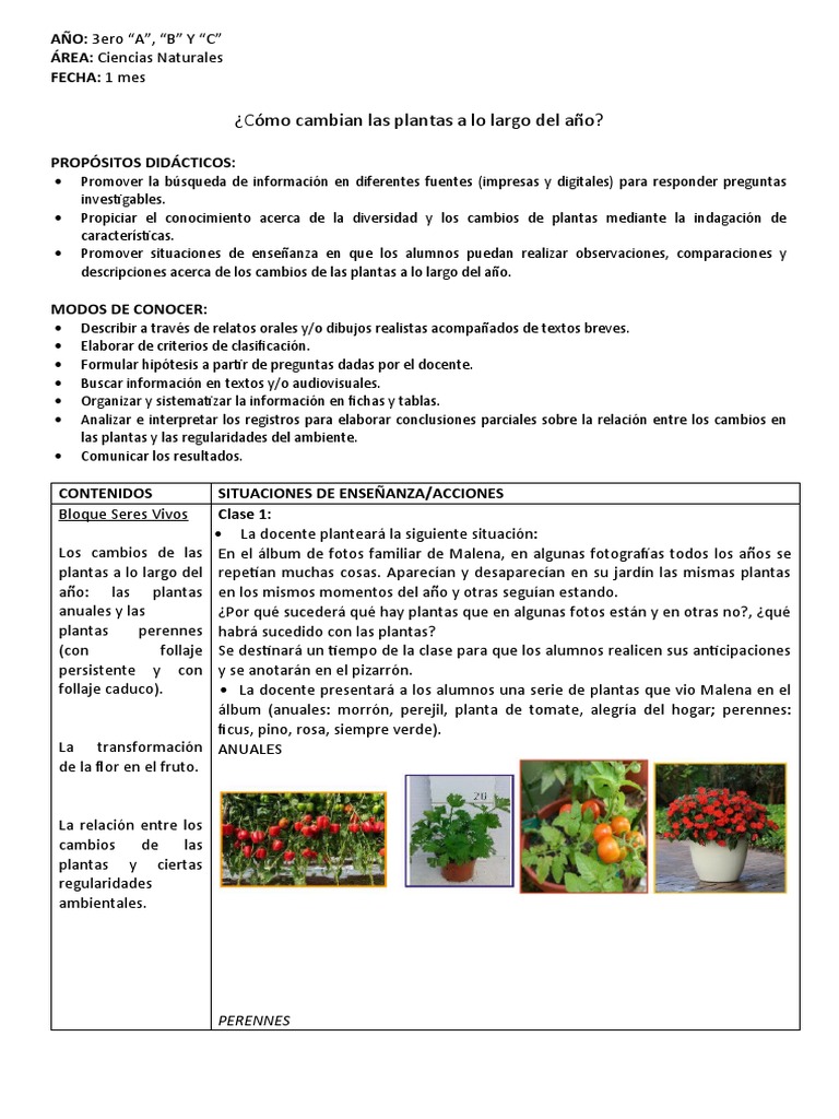 Secuencia Didactica Cs Ns 3ero. Cómo Cambian Las Plantas A Lo Largo Del ...