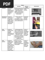 Glosario de Terminos Clinicos en Fisioterapia | PDF | Músculo | Masaje