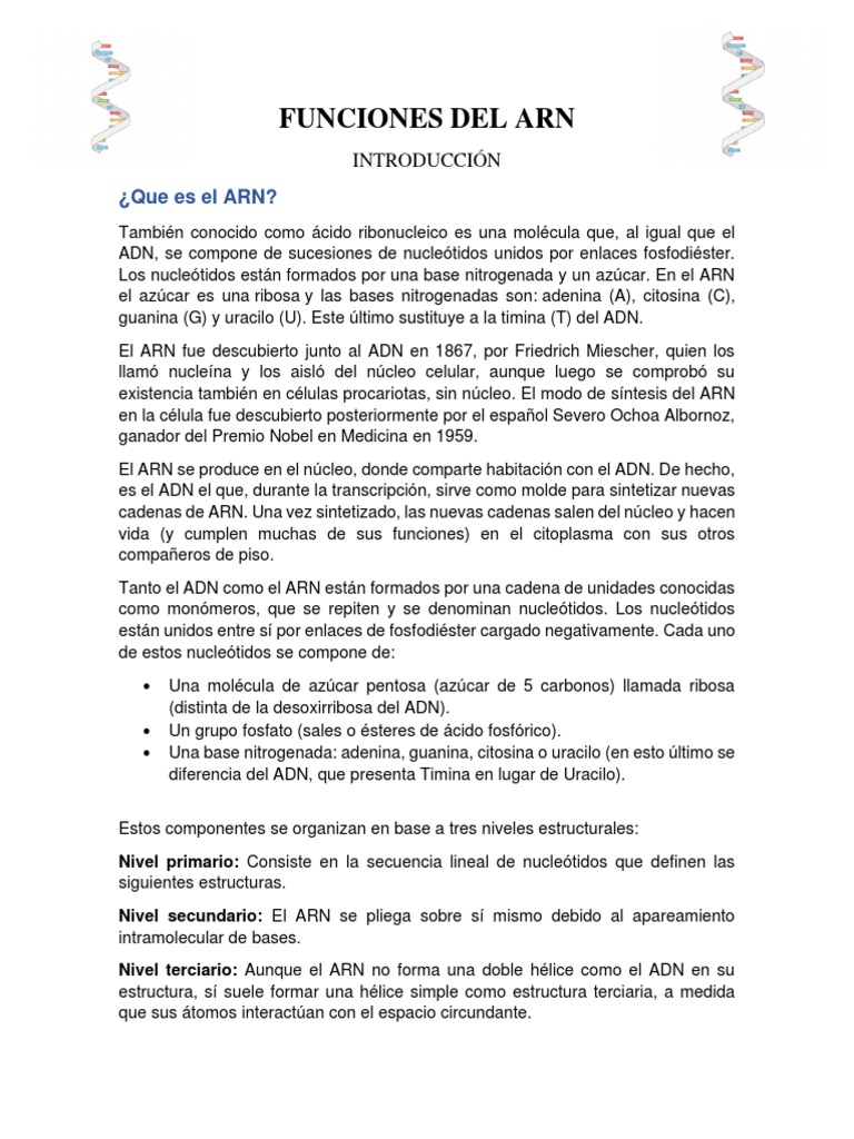 Funciones del ARN en la célula | PDF | Rna | Adn