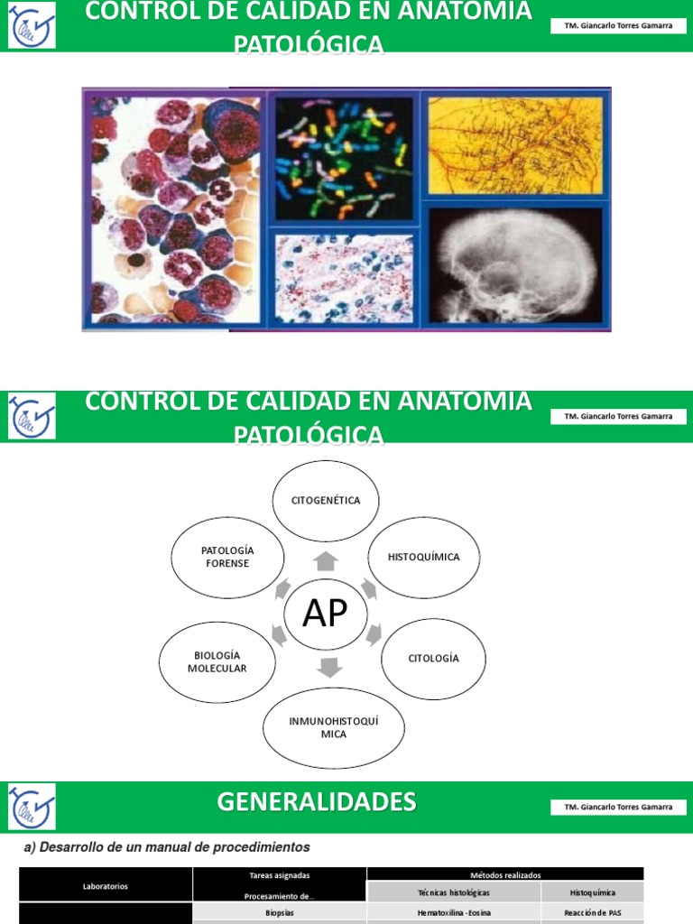 SEMANA 17 - CONTROL DE CALIDAD EN ANATOMÍA PATOLÓGICA | PDF | Biología ... SEMANA 17 - CONTROL DE CALIDAD EN ANATOMÍA PATOLÓGICA | PDF | Biología ...