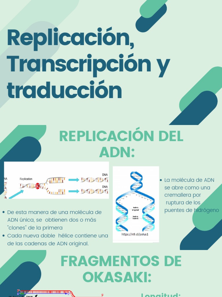 Replicación y Traducción del ADN | PDF | Traducción (biología) | Ribosoma