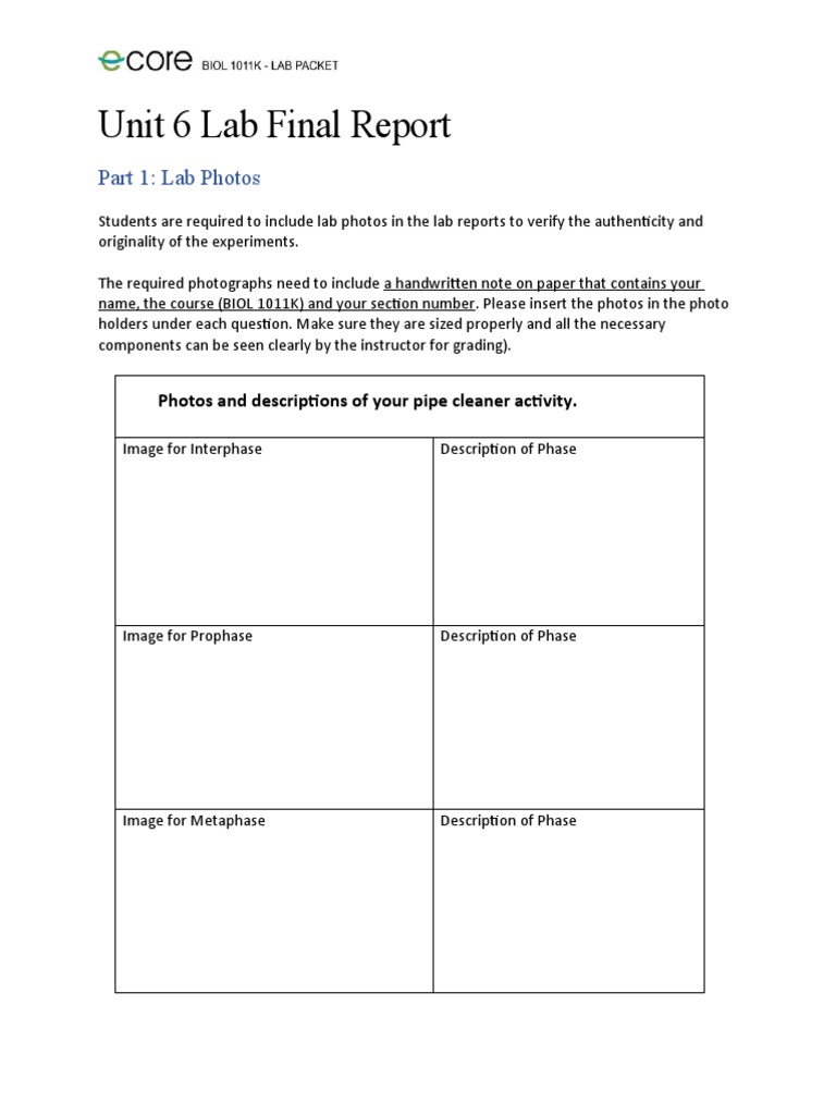Unit 6 Lab Final Report | PDF