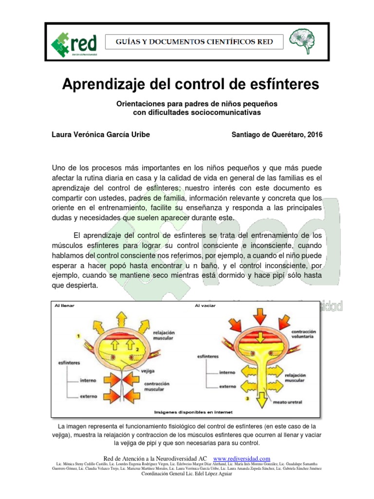 Guía para Padres: Control de Esfínteres | PDF | Aprendizaje ...
