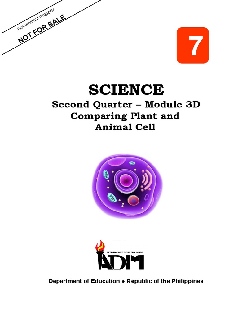 Comparing Plant and Animal Cell | PDF | Cell (Biology) | Eukaryotes