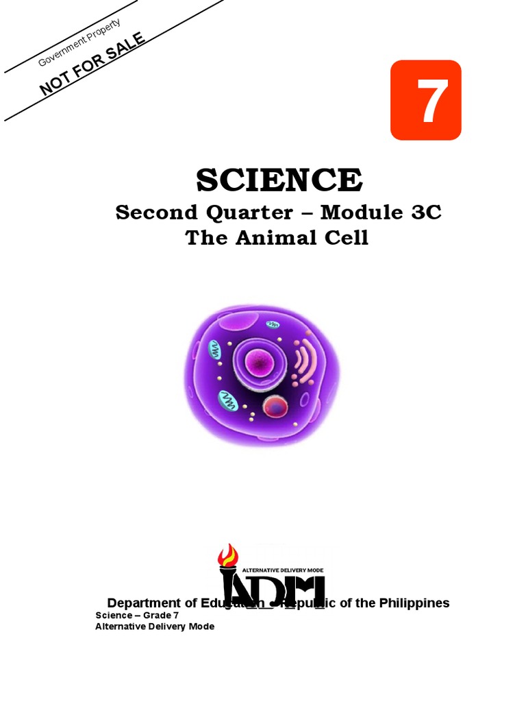 The Animal Cell | PDF | Cell (Biology) | Eukaryotes