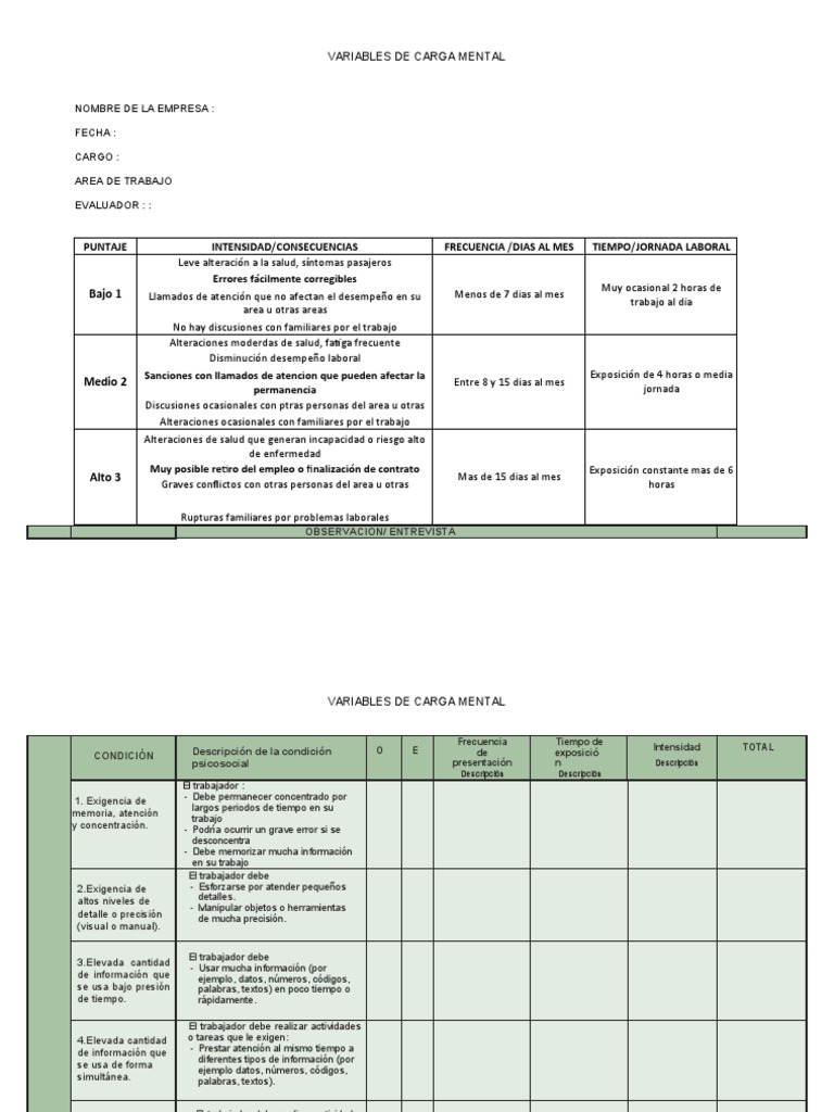 Formato Carga Mental | PDF