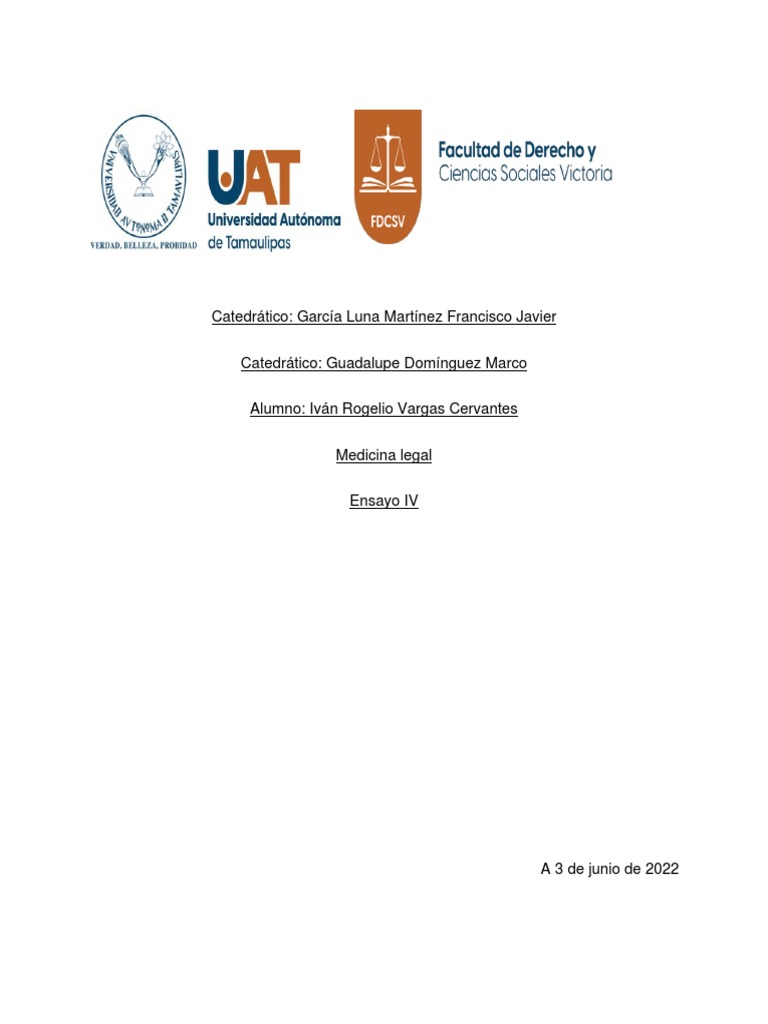 Ensayo Iv | PDF | Violación | Infección transmitida sexualmente
