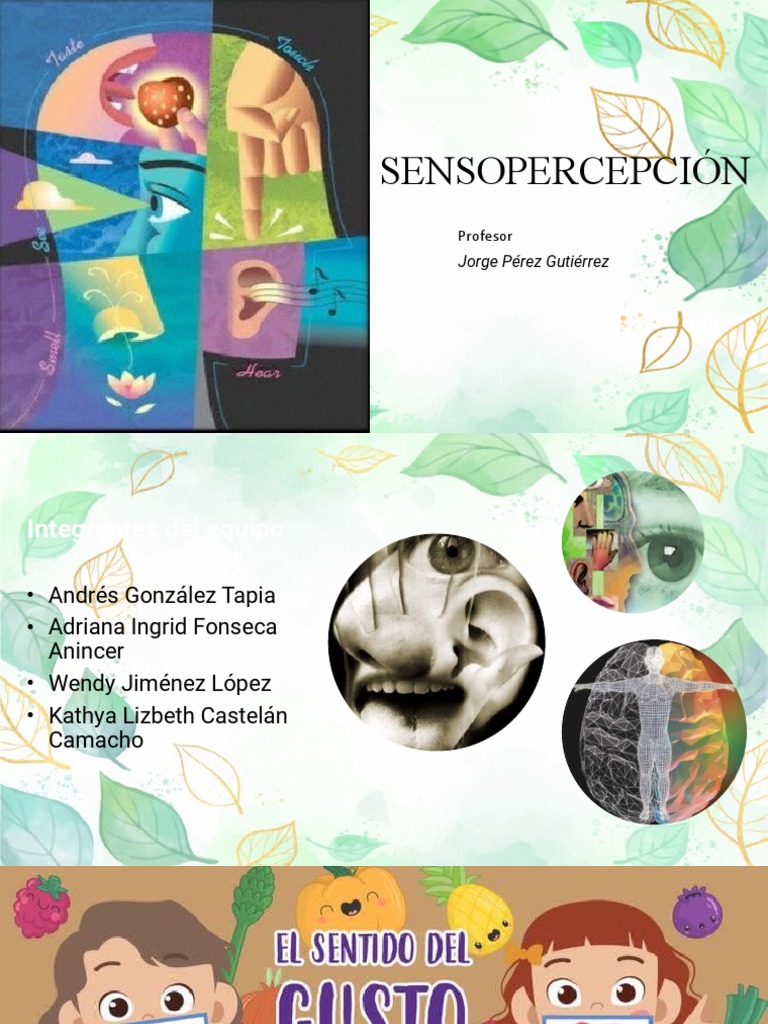 Sensopercepción 1 | PDF | Gusto | Neurociencia