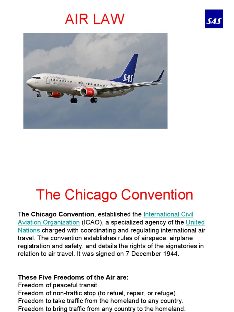 Regulation and Standardization of International Civil Aviation | PDF ...
