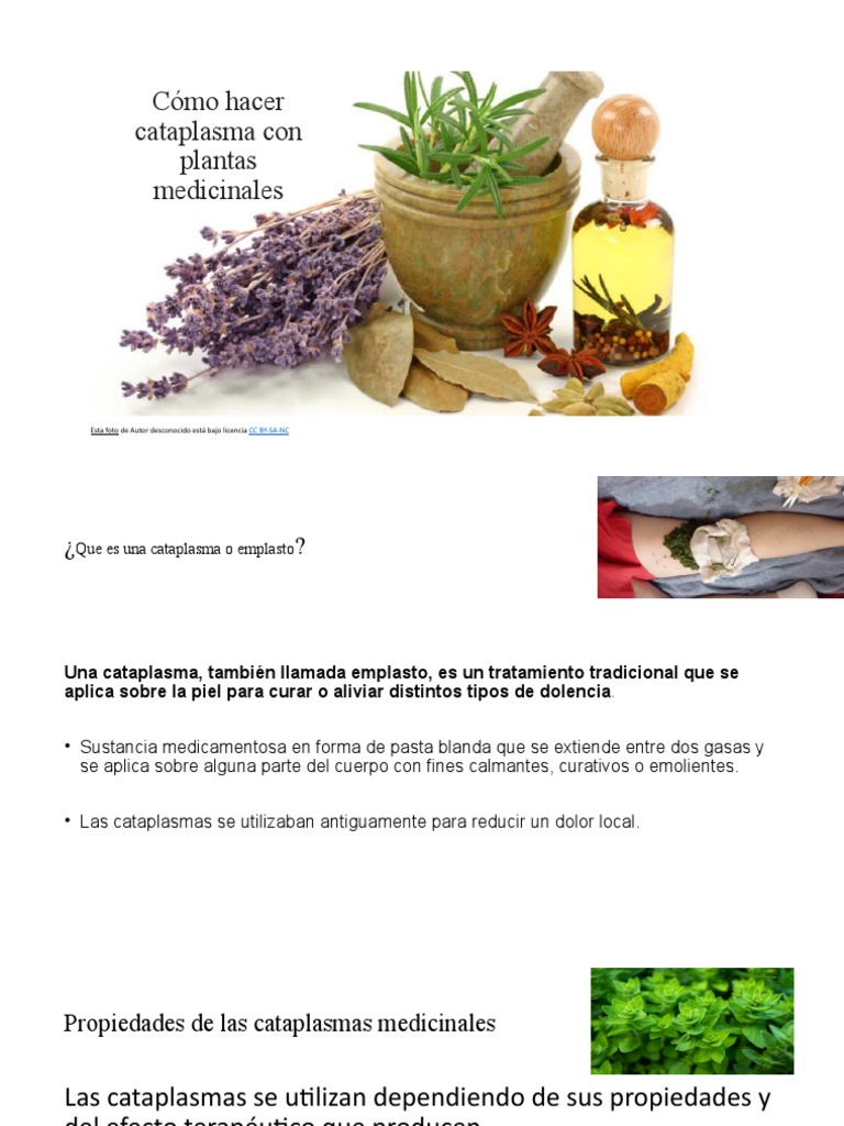 Cómo Hacer Cataplasma Con Plantas Medicinales | PDF | Agua