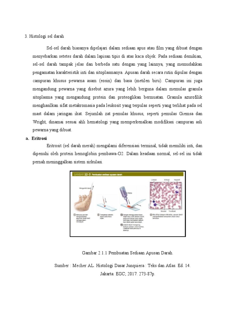 Apusan Darah: Teknik dan Analisis | PDF | Sains & Matematika