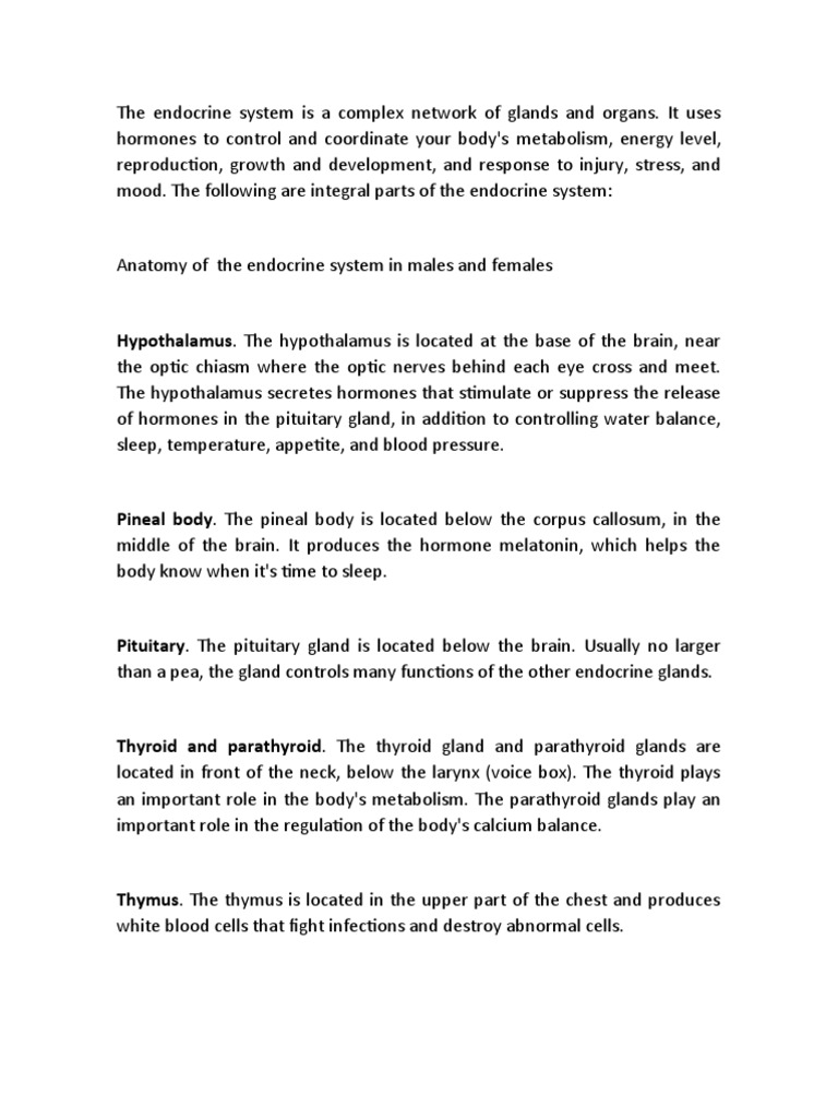 The Endocrine System - Integral Parts | PDF | Endocrine System | Human Body