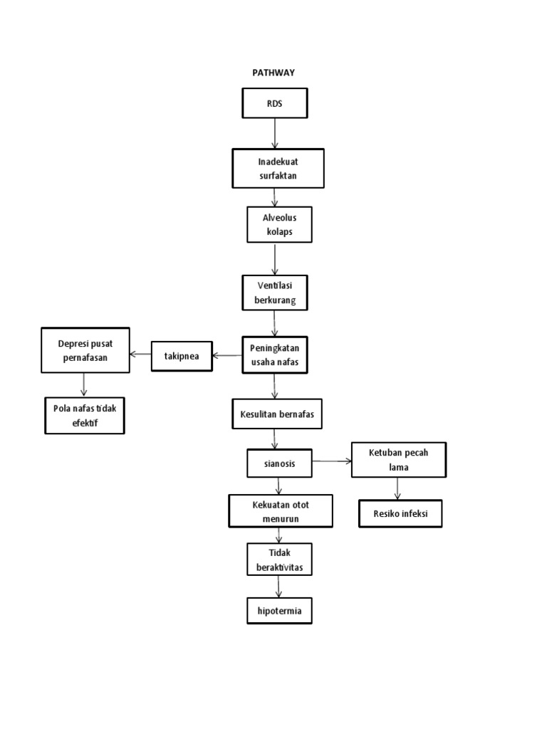 Pathway | PDF