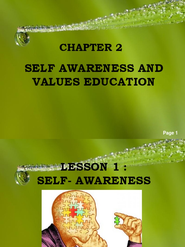 Chapter 2 Self Awareness and Values Education | PDF | Motivation ...