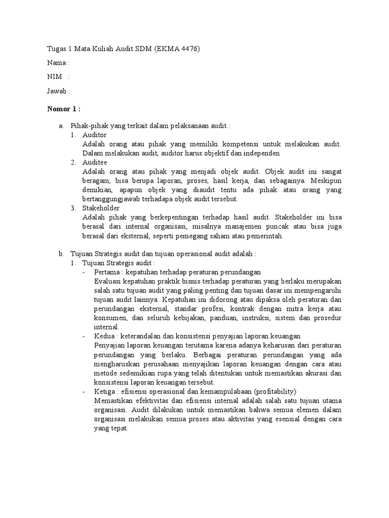 TUGAS 1 - Audit SDM - EKMA4476 | PDF