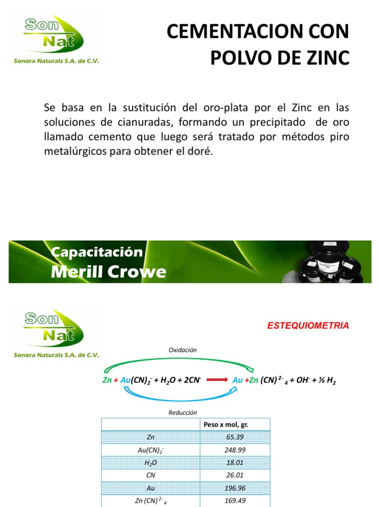 Reacciones Merrill Crowe | PDF | Zinc | Oro