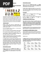 Formulario para IRTRA | PDF