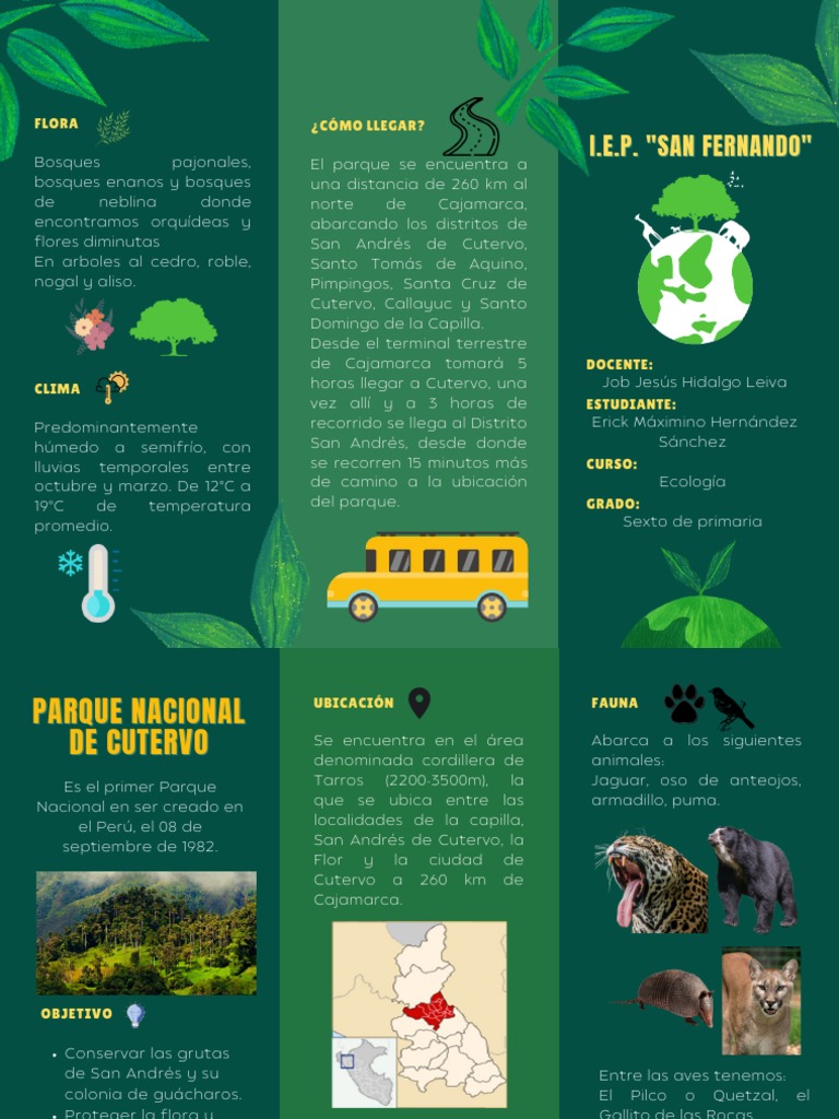 Tríptico Del Parque Nacional de Cutervo - Erick Maximino Hernández Sánchez | PDF